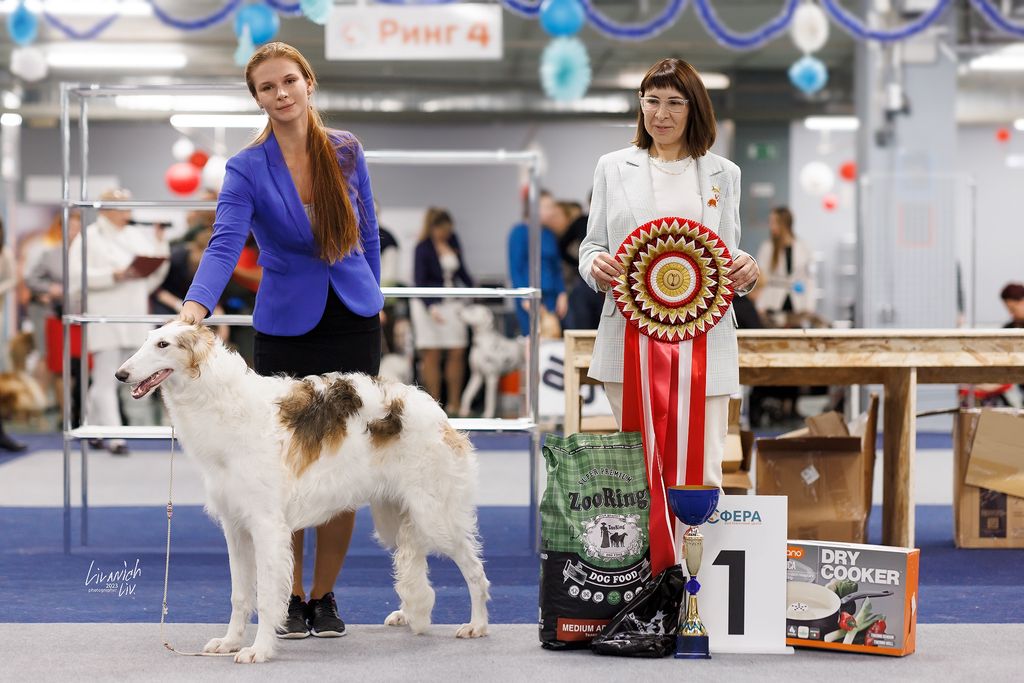 Borzoi - The Breed Archive