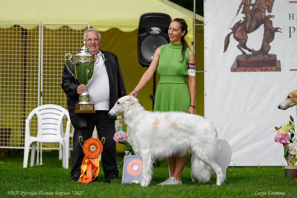 Borzoi - The Breed Archive